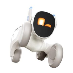 ROBOT｜展示ロボット - ロボテラス ROBO TERRACE